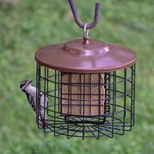 More Birds Squirrel-X Double Suet Feeder, Outdoor Wild Bird Feeder, Cage Bird Feeder, 2 Suet Cake Capacity