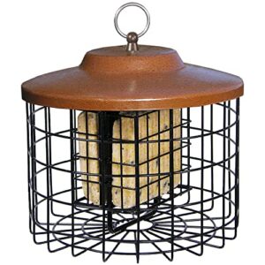 more birds squirrel-x double suet feeder, outdoor wild bird feeder, cage bird feeder, 2 suet cake capacity