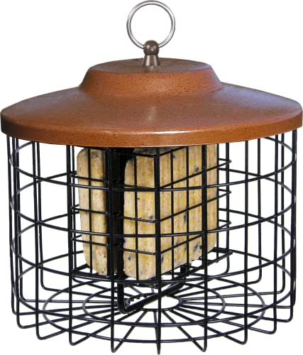 More Birds Squirrel-X Double Suet Feeder, Outdoor Wild Bird Feeder, Cage Bird Feeder, 2 Suet Cake Capacity