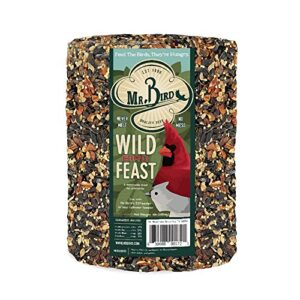 mr. bird wild bird feast birdseed large cylinder 4 lbs.