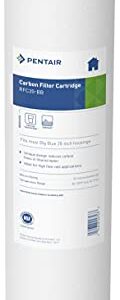 Pentair Pentek RFC-20BB Big Blue Carbon Water Filter, 20-Inch, Whole House Heavy Duty Radial Flow Carbon Replacement Cartridge with Granular Activated Carbon (GAC) Filter, 20" x 4.5", 25 Micron