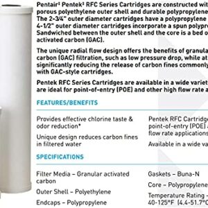 Pentair Pentek RFC-20BB Big Blue Carbon Water Filter, 20-Inch, Whole House Heavy Duty Radial Flow Carbon Replacement Cartridge with Granular Activated Carbon (GAC) Filter, 20" x 4.5", 25 Micron