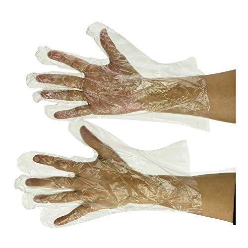 Clean Ones 1000-Count Disposable Food-Safe Poly Gloves, One Size