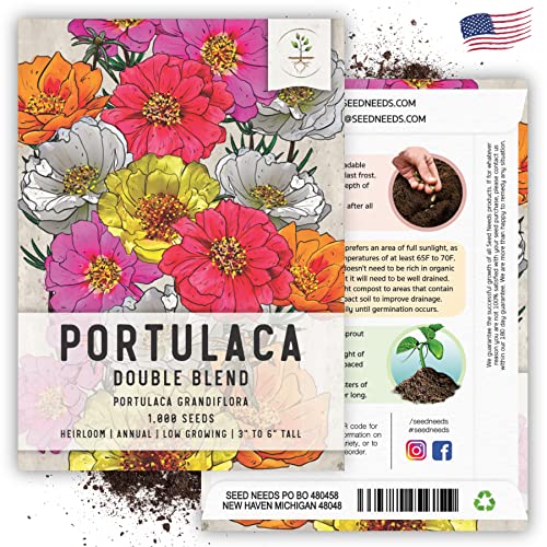 Seed Needs, Portulaca Seeds - 1,000 Heirloom Seeds for Planting Portulaca grandiflora - Moss Rose, Great for Rock Gardens (2 Packs)