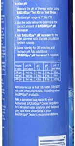 Baqua Spa 83818 pH Increaser Spa and Hot Tub Balancer, 16 oz