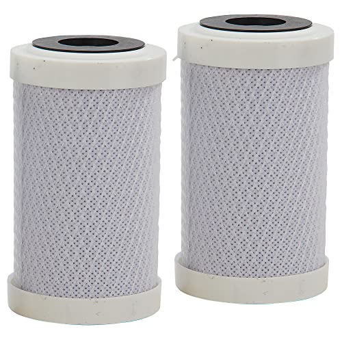 Watts Premier WP560100 5 Micron Carbon Block Water Filter, 2-Pack