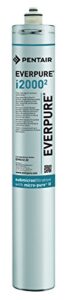 everpure ev961222 i2000 2 filter cartridge