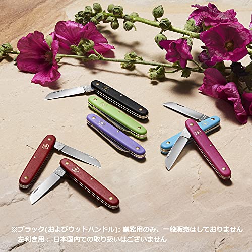 Victorinox Garden Floral Knife, Swiss Made, Straight Blade, Stainless Steel, Purple