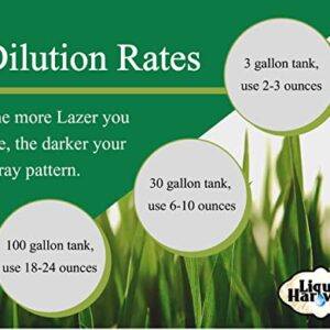 Liquid Harvest Lazer Green Concentrated Spray Pattern Indicator - 1 Quart (32 Ounces) - Perfect Weed Dye, Fertilizer Marking Dye, Turf and Herbicide Marker