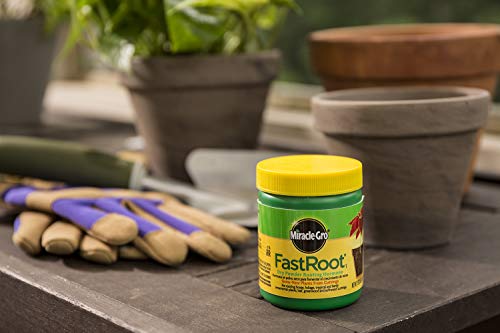 Miracle-Gro FastRoot1 Dry Powder Rooting Hormone: Houseplant and Succulent Propagation, for Rooting House, Foliage, Tropical, and Hardy Ornamental Plants, 1.25 oz