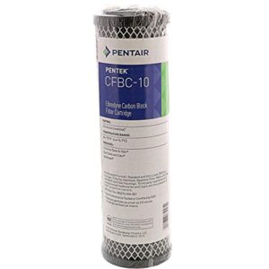 pentek 255679-43 carbon filter