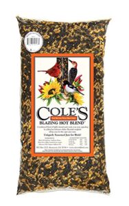 cole's bh10 blazing hot blend bird seed, 10-pound