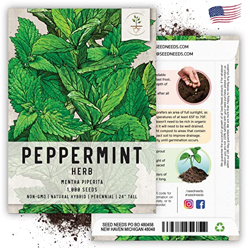 Seed Needs, Peppermint Seeds - 1,000 Heirloom Seeds for Planting Mentha piperita - Non-GMO, & Untreated - Great for Pots & Containers (2 Packs)