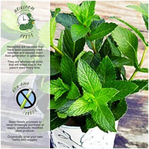 Seed Needs, Peppermint Seeds - 1,000 Heirloom Seeds for Planting Mentha piperita - Non-GMO, & Untreated - Great for Pots & Containers (2 Packs)