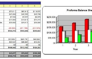 Business Coach Business Plan - MS Word/Excel