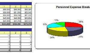 Birthday Balloon Service Business Plan - MS Word/Excel