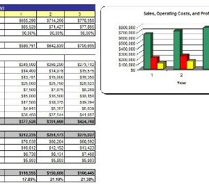 Birthday Balloon Service Business Plan - MS Word/Excel