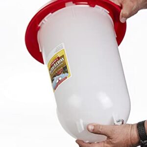 Plastic Poultry Drinker (3 Gallon) - Little Giant - Heavy Duty Plastic Gravity Fed Water Container Jar (Red) (Item No. 7906)