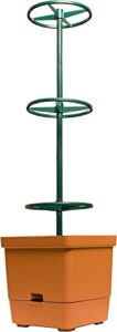 hydrofarm gctt tomato 3-foot tree tower, orange and green