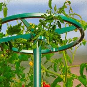 Hydrofarm GCTT Tomato 3-Foot Tree Tower, Orange and Green