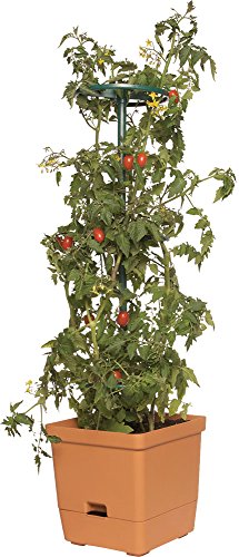 Hydrofarm GCTT Tomato 3-Foot Tree Tower, Orange and Green