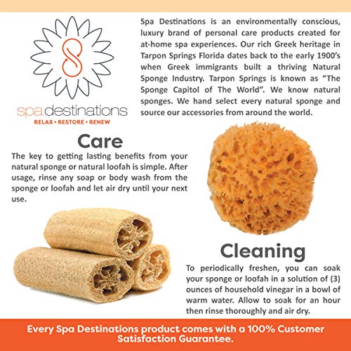 Natural Sea Sponge 6-7" by Spa Destinations "Creating The At-Home Spa Experience"