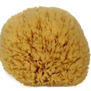 Natural Sea Sponge 6-7" by Spa Destinations "Creating The At-Home Spa Experience"