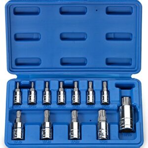 Neiko 10086A 6 Point Torx Plus Bit Socket Set, 1/4-Inch, 3/8-Inch and 1/2-Inch Drive, TP8 - TP60, 12-Piece