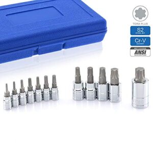 Neiko 10086A 6 Point Torx Plus Bit Socket Set, 1/4-Inch, 3/8-Inch and 1/2-Inch Drive, TP8 - TP60, 12-Piece