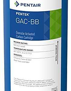 Pentair Pentek GAC-BB Big Blue Carbon Water Filter, 10-Inch, Whole House Heavy Duty Granular Activated Carbon (GAC) Replacement Cartridge, 10" x 4.5"