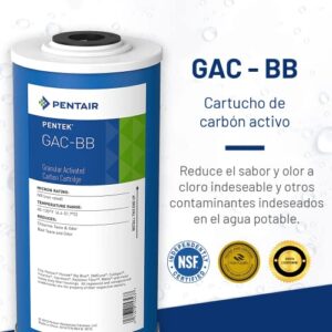 Pentair Pentek GAC-BB Big Blue Carbon Water Filter, 10-Inch, Whole House Heavy Duty Granular Activated Carbon (GAC) Replacement Cartridge, 10" x 4.5"