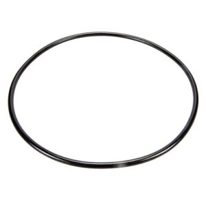 pentair 87300400 body o-ring