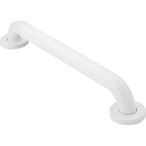 moen r8716w home care 16-inch concealed screw bath safety bathroom grab bar, glacier