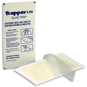 trapper ltd insect-mouse glue boards/12 boards