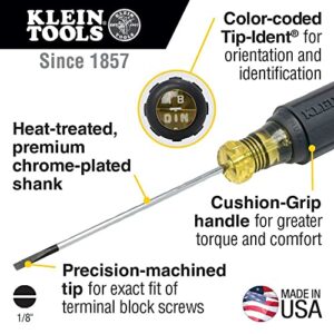 Klein Tools 612-4 Screwdriver, Flat Head Terminal Block Screwdriver, 1/8-Inch Cabinet Tip, 4-Inch Round Shank, TB-DIN