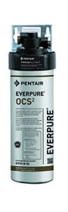 everpure ev9275-60 ql2-ocs 2 system