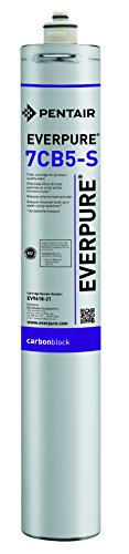 Everpure EV961821