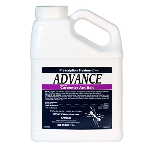 Advance Carpenter Ant Bait-2 Lb 660992