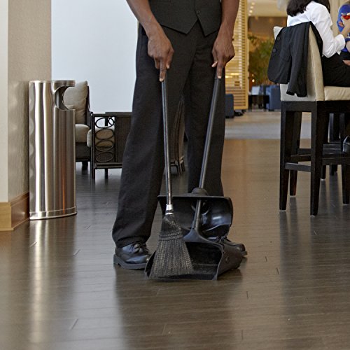 Rubbermaid Commercial Executive Series™ Lobby Pro® Dustpan With Cover, Long Handle, Black (FG253200BLA)