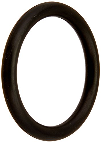 Pentair 51005000 Drain Plug O-Ring Replacement Pool/Spa Filter and Valve