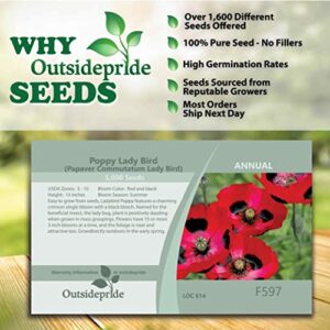 Outsidepride Papaver Commutatum Lady Bird Red Corn Poppy Wild Flowers - 5000 Seeds