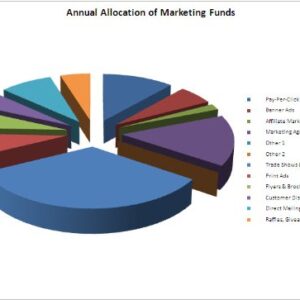 Marketing Plan Template for Carpet & Upholstry Steam Cleaning Company MS Word/Excel