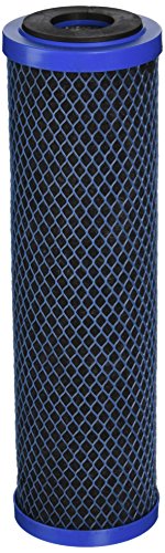 Pentek 255674-43 Carbon Filter