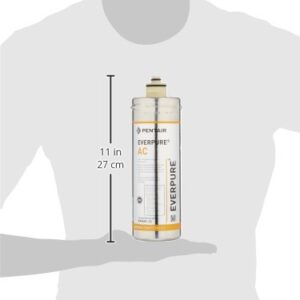 Everpure EV9601-12 AC Water Filter Cartridge