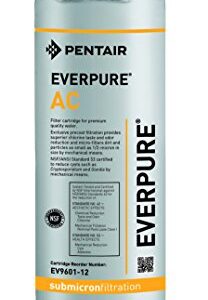 Everpure EV9601-12 AC Water Filter Cartridge