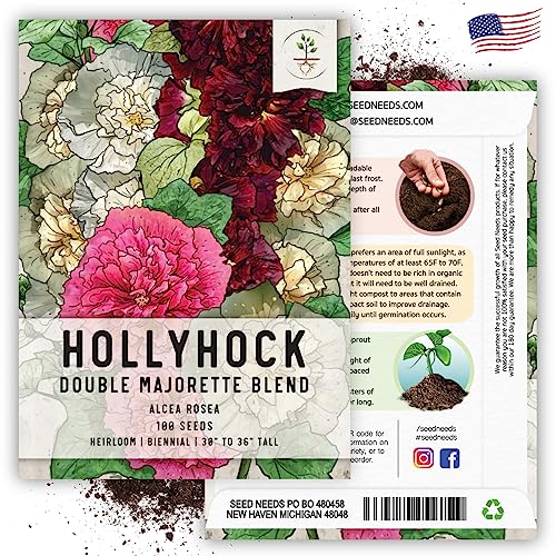 Seed Needs, Double Majorette Hollyhock Seeds - 100 Heirloom Flower Seeds for Planting Alcea rosea - Mixed, Biennial, Attracts Pollinators (1 Pack)