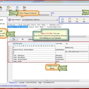 SDB Explorer Software for Amazon SimpleDB - With DVD