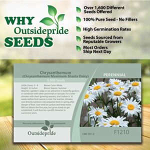 Outsidepride Perennial Chrysanthemum Shasta Daisy Wild Flowers Great for Cutting - 5000 Seeds