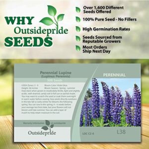 Outsidepride Perennial Blue Lupine Wild Flower Plants Attracting Birds & Butterflies - 500 Seeds