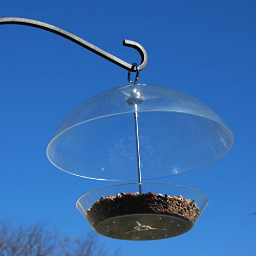 Woodlink NABBFDR Audubon Dome Top Seed and Bluebird Feeder